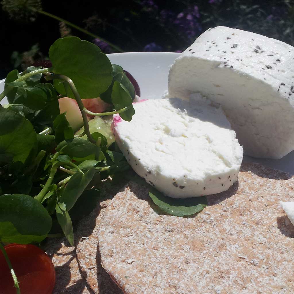 Perroche, young fresh goat's cheese from Mousetrap Cheese – The ...