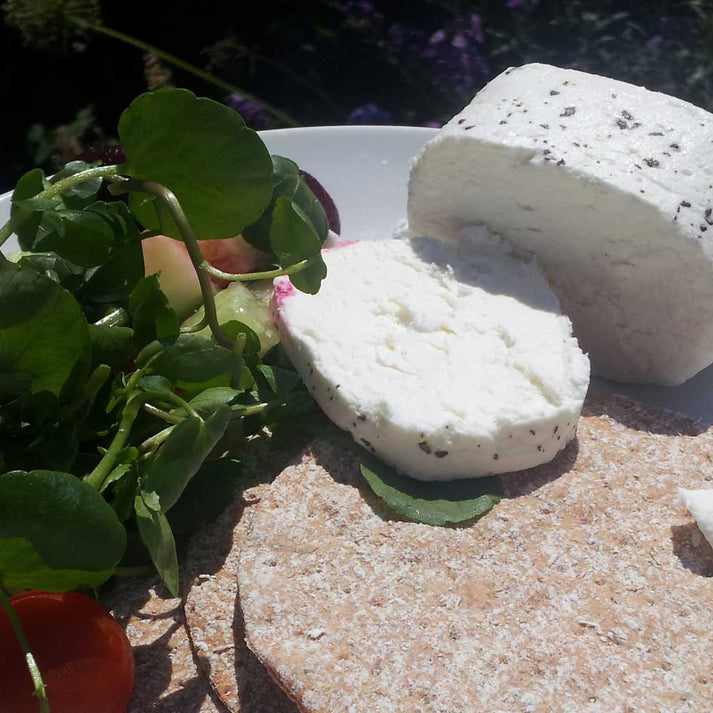 Perroche, young fresh goat's cheese from Mousetrap Cheese – The ...