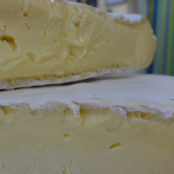 Perl Wen, a beautiful fresh, organic soft Welsh cheese – The Mousetrap ...